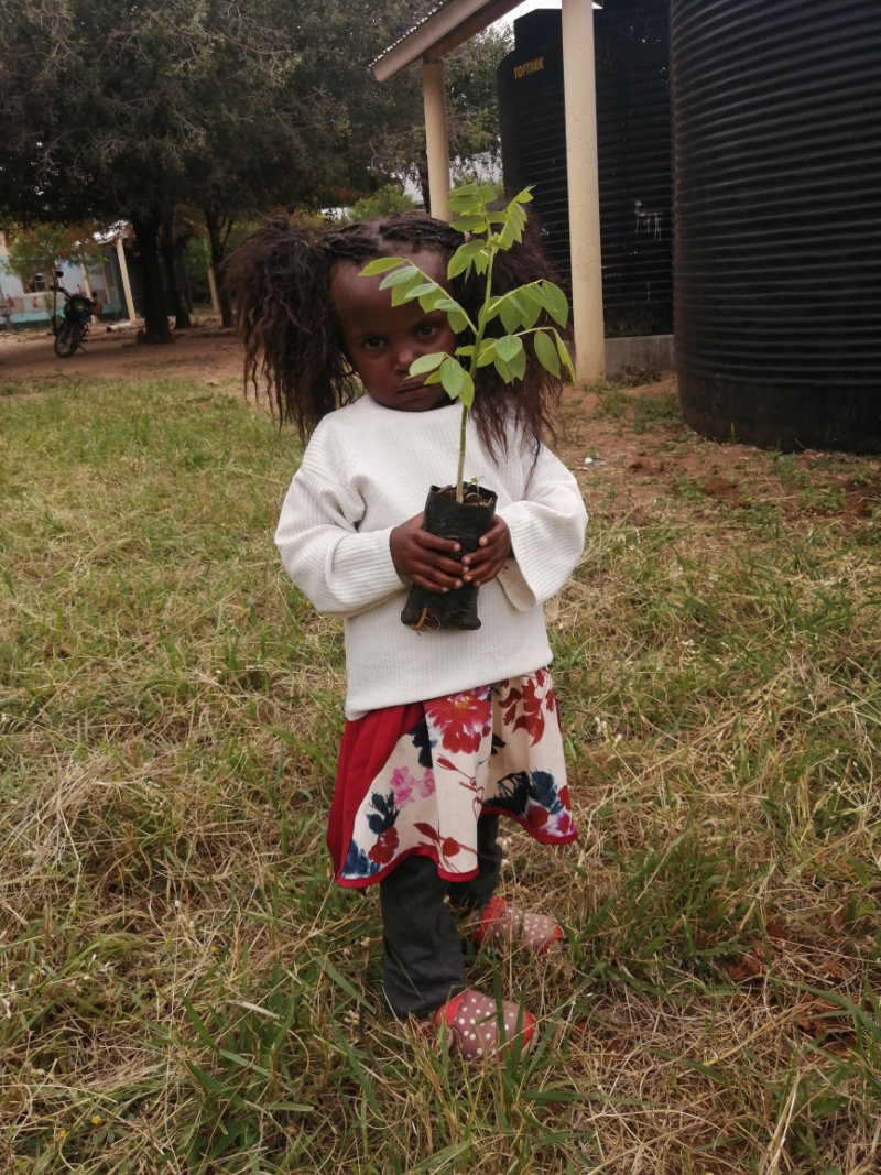 Kenya – Tree Growing – Climate Stewards USA