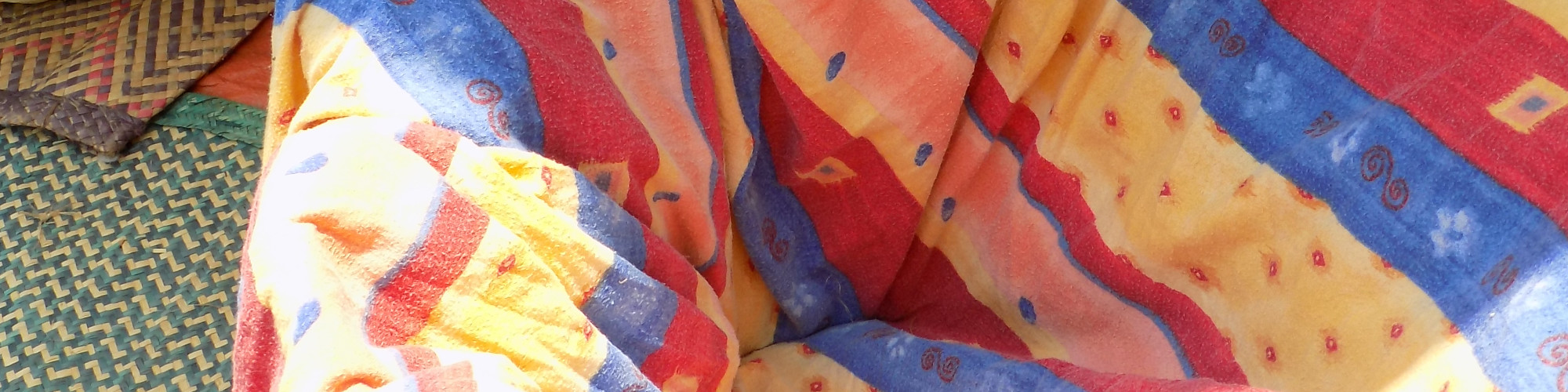 Fireless Cookers – Climate Stewards USA